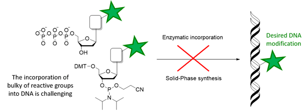 Nucleotides For Dna Post Synthetic Functionalization Through Click Chemistry At Santiagolab
